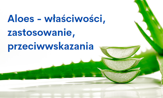 Aloes (aloe vera) - właściwości, zastosowanie, przeciwwskazania - blog ...