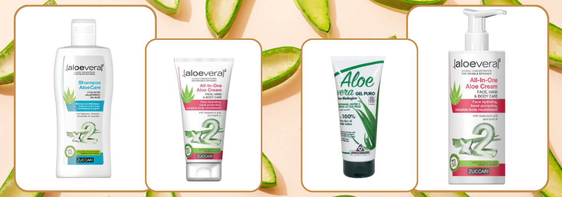 Aloes - najważniejsze właściwości - blog - sklep internetowy ...