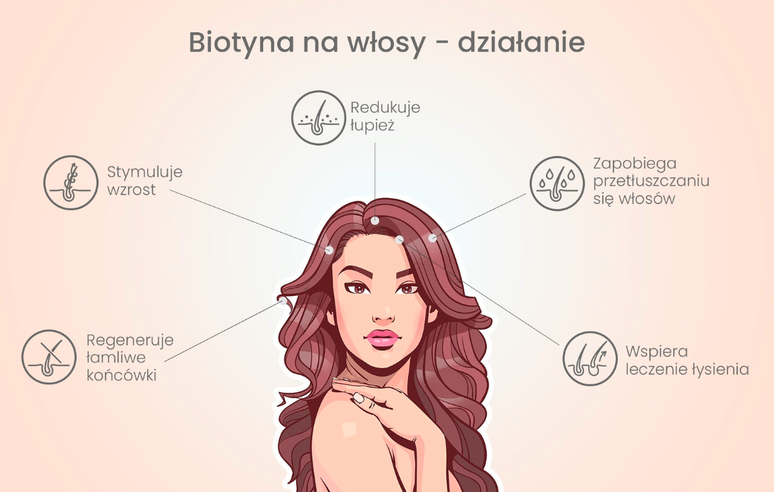 Biotyna - za co odpowiada i jaka jest jej rola? - blog - sklep internetowy - Pharmashop24.pl